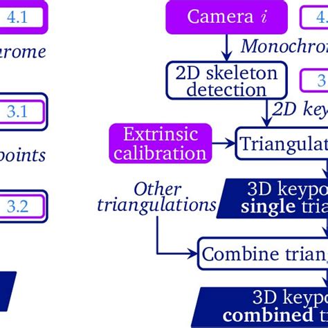 Block Diagram Of The 3d Skeletonization Algorithms With Section