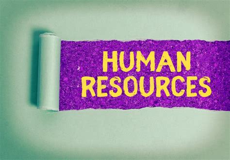 Text Sign Showing Human Resources Conceptual Photo The Showing Who Make Up The Workforce Of An