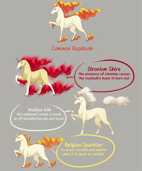 Pokemon Variants Know Your Meme