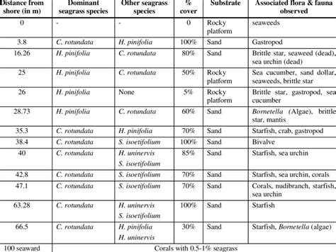 Composition Of Seagrasses At Apid Island Download Scientific Diagram