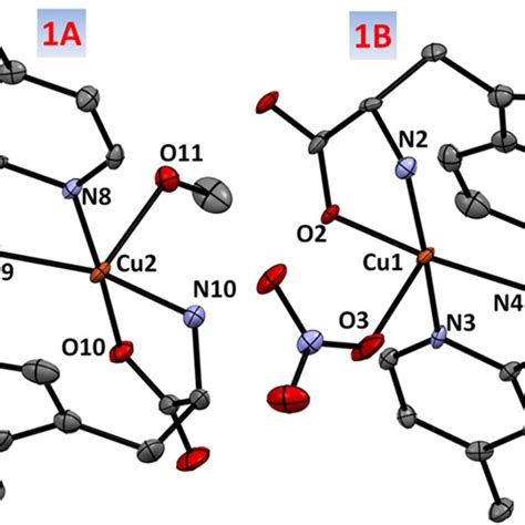 A View Of One‐dimensional Chain Structure In Complex 2 Along A‐axis Download Scientific