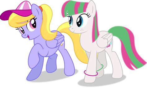 Mlp Cloudkicker Vector