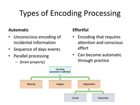 ppt memory powerpoint presentation free download id 3925882