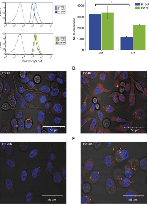 Flow Cytometry And Confocal Microscopy Images Histograms Show Nr Total
