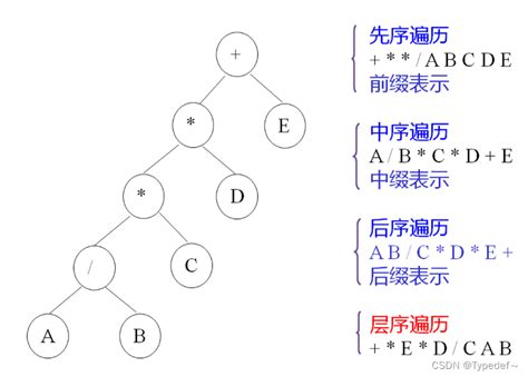 数据结构——树与二叉树利用树及二叉树结构对表达式线性化最后一步对相应的二叉树进行遍历其遍历 Csdn博客