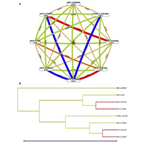 Three Locus Multifactor Dimensionality Reduction Mdr Model