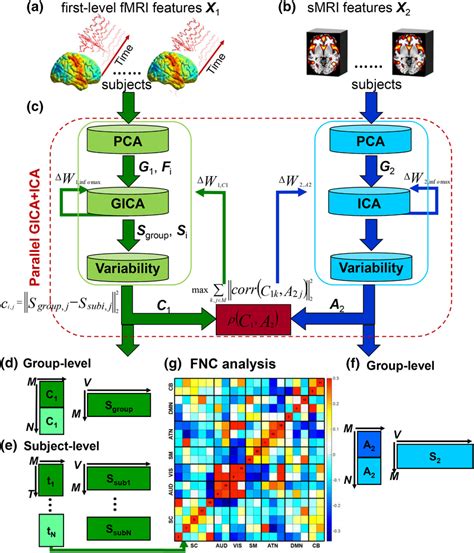 Flowchart Of The Proposed Parallel Gicaica Approach A First‐level Download Scientific