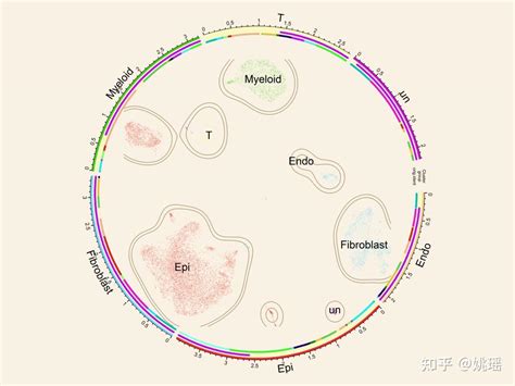 Scrna复现 惊艳的细胞注释umap图 知乎