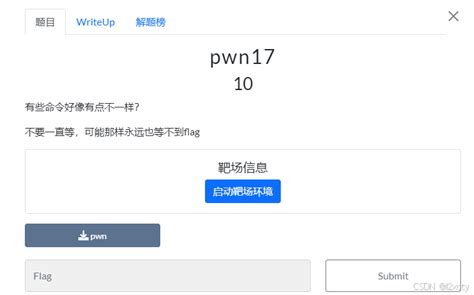 Ctfshow Pwn入门 前置基础pwn13 Pwn19ctfshow Pwn Csdn博客