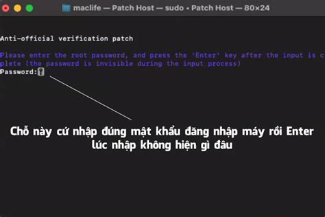 Instructions For Downloading And Installing Coreldraw 2024 For Free On Macos Vector Graphics Tool
