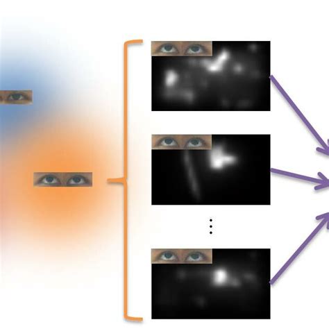 Display Of Gaze Trajectory Estimation Red And Ground Truth Trajectory