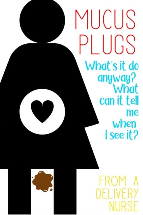 Losing Your Mucus Plug What Does It Mean