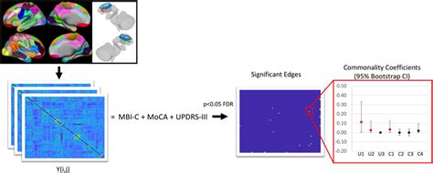 Functional Connectivity Pearson Correlation Was Calculated For Each Download Scientific