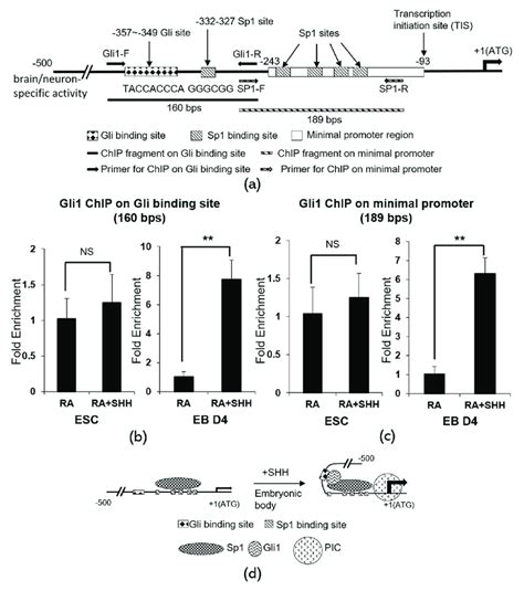 Principle Of Chip Assay At Cooper Lovely Blog
