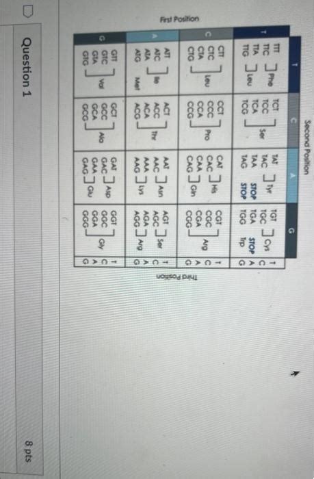 Solved Question 1 8 Ptsuse The Codon Chart Fuse The Codons