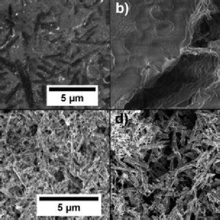 TEM Picture Of TiO 2 Rods Download Scientific Diagram