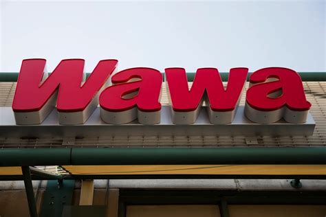 Wawa Says N J House Candidate Ripped Off Goose Logo