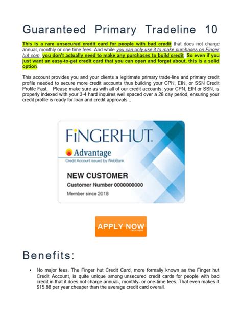 Primary Tradeline 10 Pdf