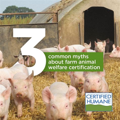 Certified Humane® On Linkedin Certifiedhumane Animalwelfare