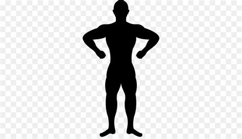 Human Body Homo Sapiens Clip Art Silhouette Png Download 512 512