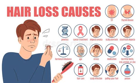 Hair Loss Causes Infographic Vector Isolated Web Banner Stock Vector Illustration Of Scalp