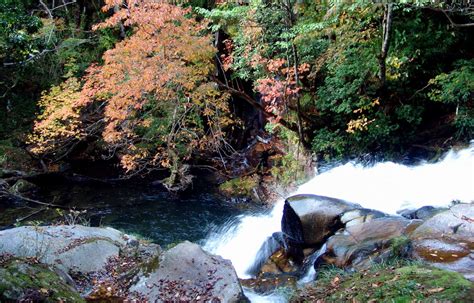このたびのたび岡山県北の秋苫田郡鏡野町上斎原2009