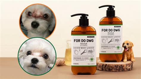 강아지 샴푸 눈물자국 스트레스 뽀독하게 뽀도독 펫 샴푸