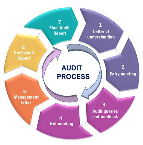 Auditing Features Article Vibrantfinserv