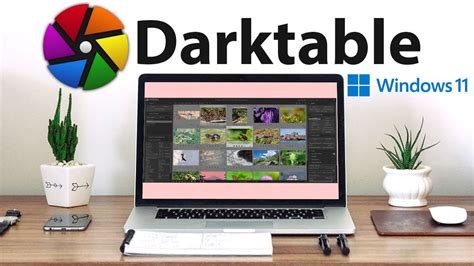 darktable windows