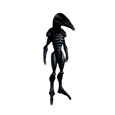 Xenomorph
