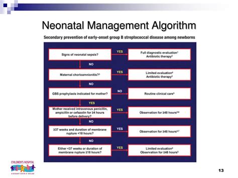 Ppt Neonatal Group B Streptococcal Infections Powerpoint Presentation