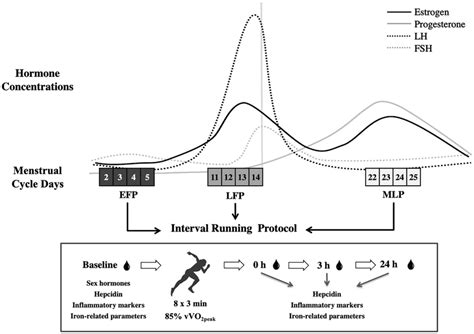 Experimental Protocol Performed In The Efp Lfp And Mlp Of The Download Scientific Diagram