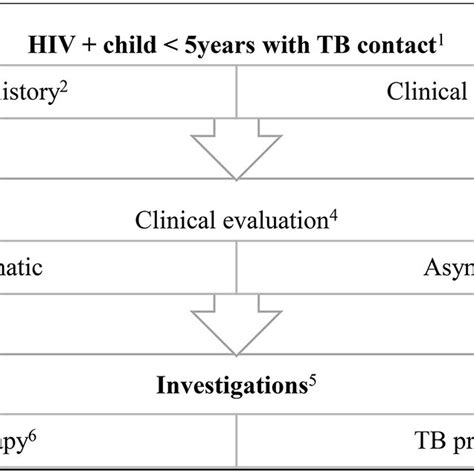 Algorithm For The Evaluation And Treatment Of A Newborn Infant With Tb