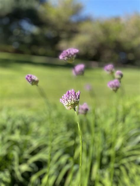 Final 1 Flickr Final 1 Flickr