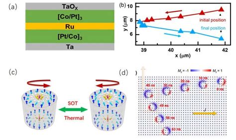 tuning skyrmion helicity for racetrack memory and quantum computing