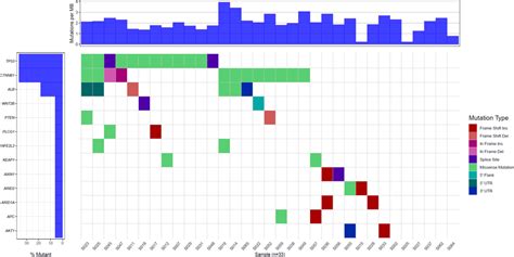 Somatic Mutation Landscape Of Hepatocellular Carcinoma Hcc Somatic