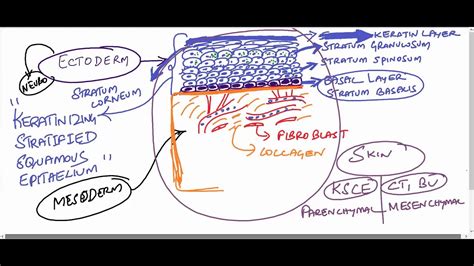 Basics For Lecture 1 Part 2 Youtube