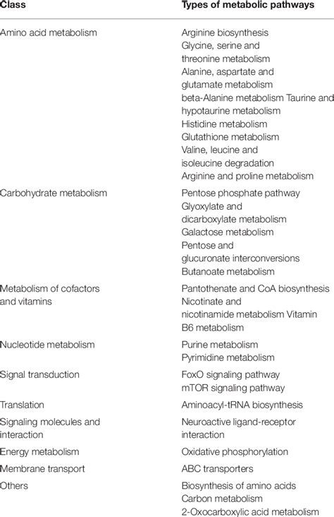 Classification Of Metabolic Pathways Significantly Enriched In