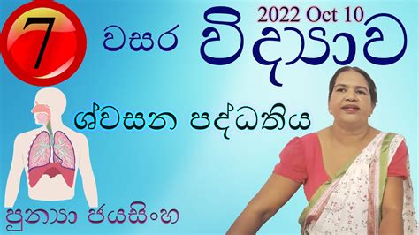12 වන පාඩම ජෛව ක්‍රියාවලි 02 කොටස 7 වන ශ්‍රේණිය විද්‍යාව ශ්වසන පද්ධතිය Youtube