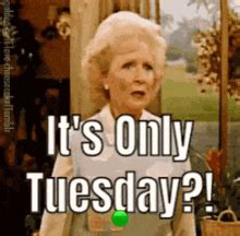 Happy Tuesday Meme S Tenor