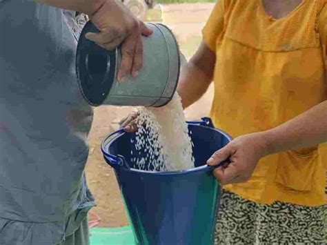 ဆားလင်းကြီးရှိ စစ်ဘေးရှောင် ပြည်သူများကို ဆန်လှူဒါန်း Khit Thit Media