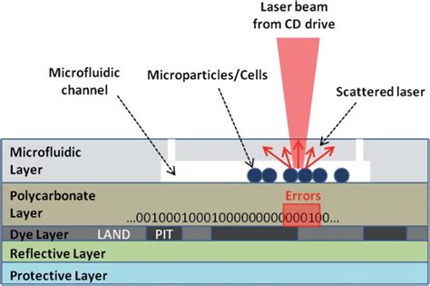 Cross Sectional Configuration Of A Digital Microfluidic Compact Disc
