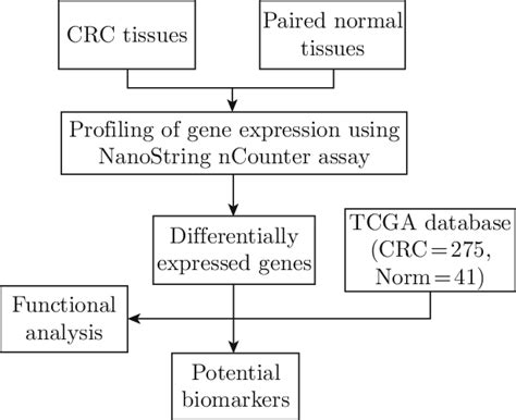 Diagram Of Experiment And Data Analysis Workflow Download Scientific
