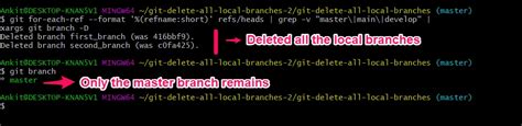 How To Delete All Local Branches In Git Delft Stack