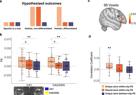 multivariate pattern similarity analysis mps of holistic retrieval in download scientific