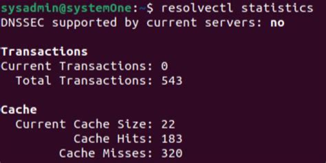 How To Flush The DNS Cache On Ubuntu 22 04