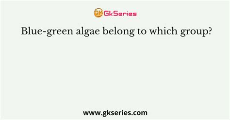 Blue Green Algae Belong To Which Group