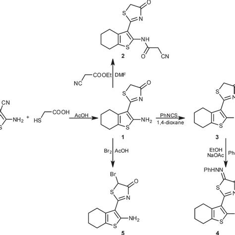Pdf Synthesis And Cytotoxicity Evaluation Of Thiazole Derivatives Obtained From 2 Amino 456