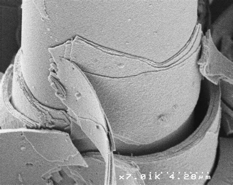 1d Sic Hi Nicalon Sic Model Minicomposite With A Multilayered Download Scientific Diagram