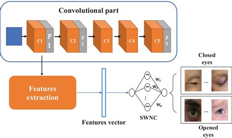 Principle Of Classification By Separator Wavelet Network With The